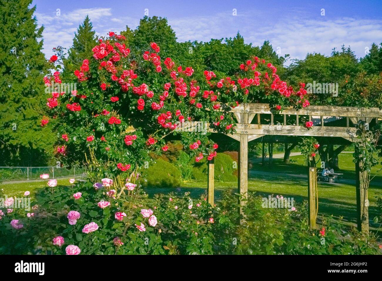 Burnaby mountain centennial park hi-res stock photography and images ...
