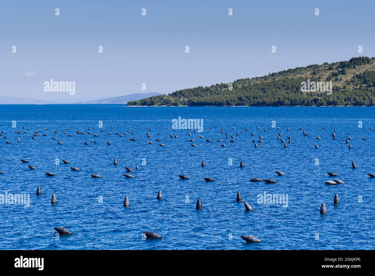 Mussel farm galicia spain hi-res stock photography and images - Alamy