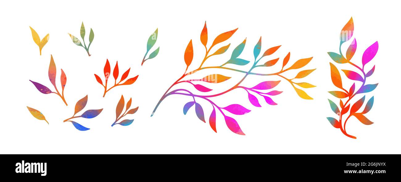 The object is a graceful multicolored twig with leaves. Set of rainbow ...