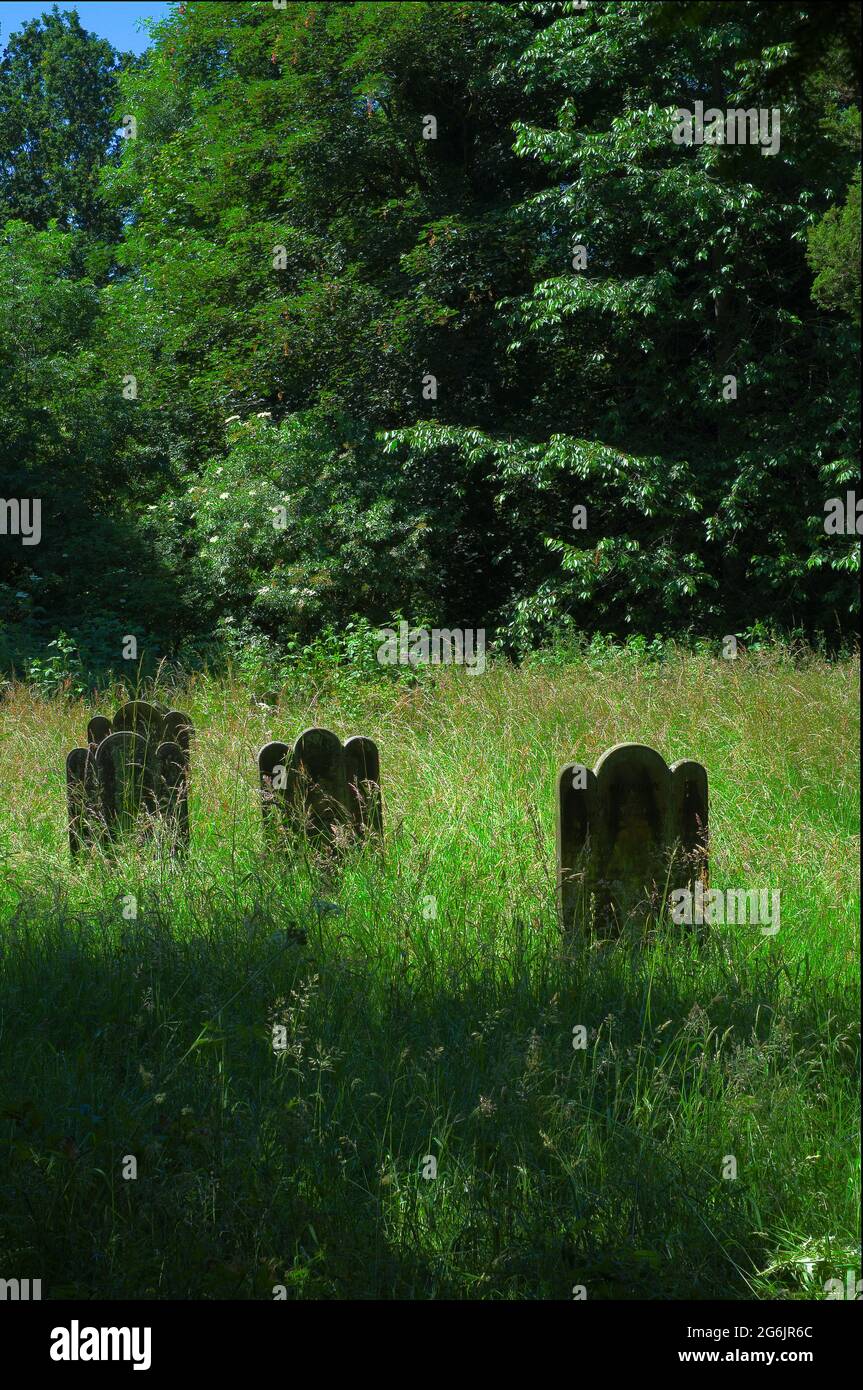 Weeds on graves hi-res stock photography and images - Alamy