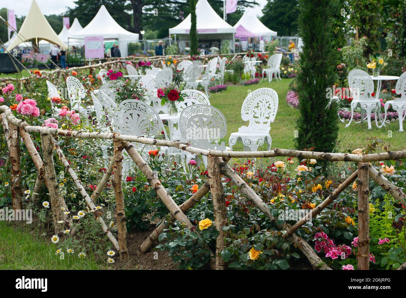 East Molesey, Surrey, UK. 5th July, 2021. The RHS Rose Tea Garden ...