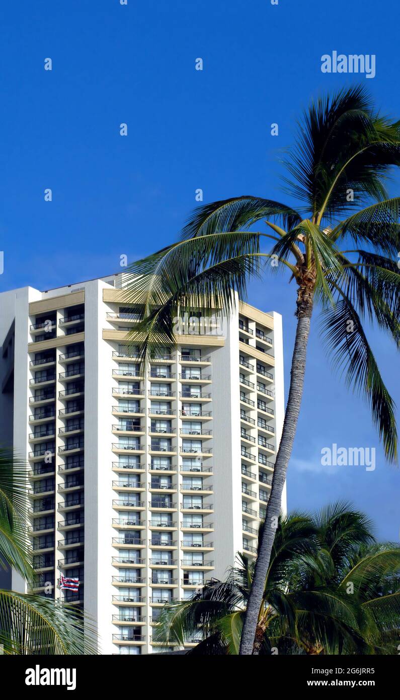 High rise apartment rises above the palm trees in downtown Waikiki ...