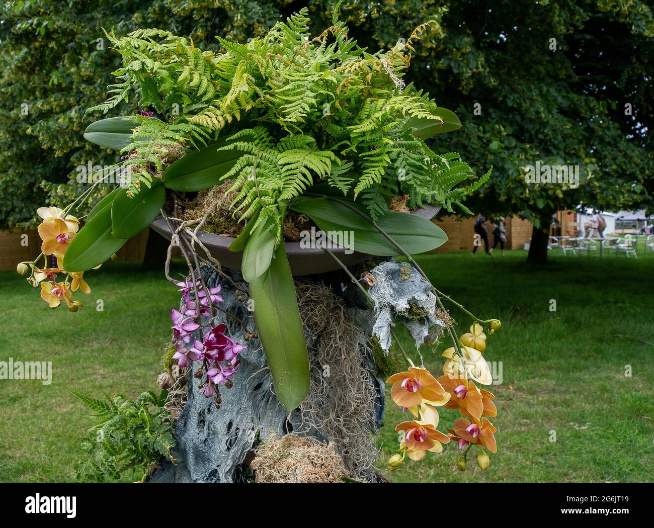 East Molesey, Surrey, UK. 5th July, 2021. A floral roots display at the ...