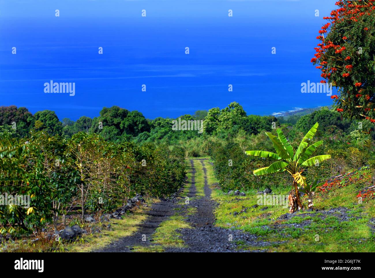 Narrow one lane gravel and dirt road descends to the coastline, winding ...