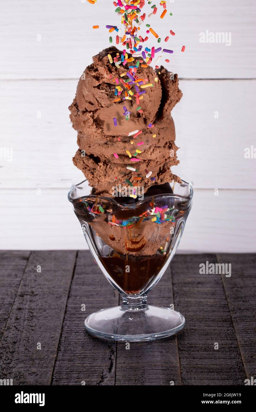 Chocolate Ice Cream Sundae With Sprinkles