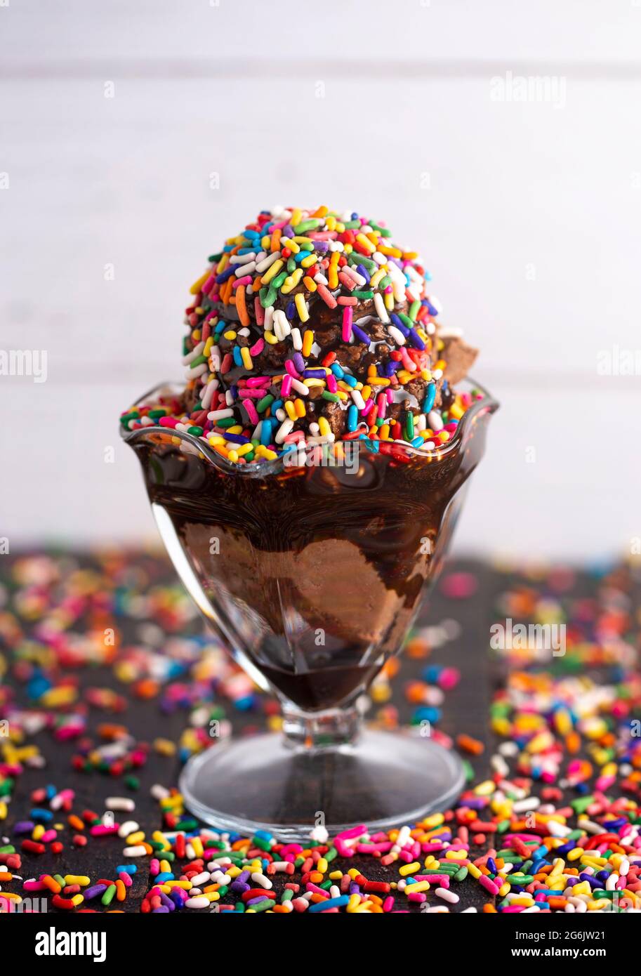 A Chocolate Ice Cream Sundae with Chocolate Syrup and Rainbow Sprinkles ...