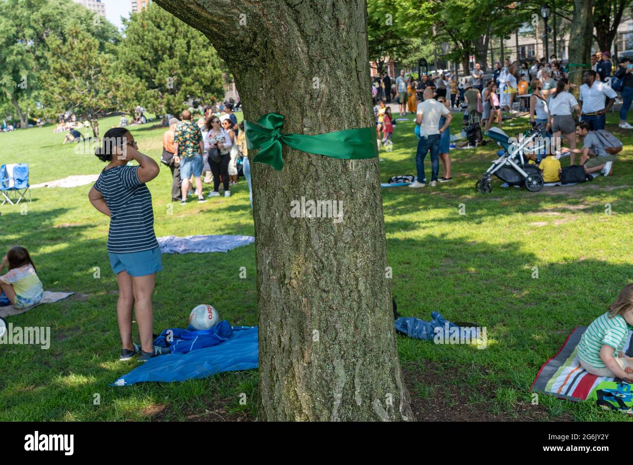 NEW YORK, NY – JULY 05: A Green ribbon seen on a tree during a rally in ...