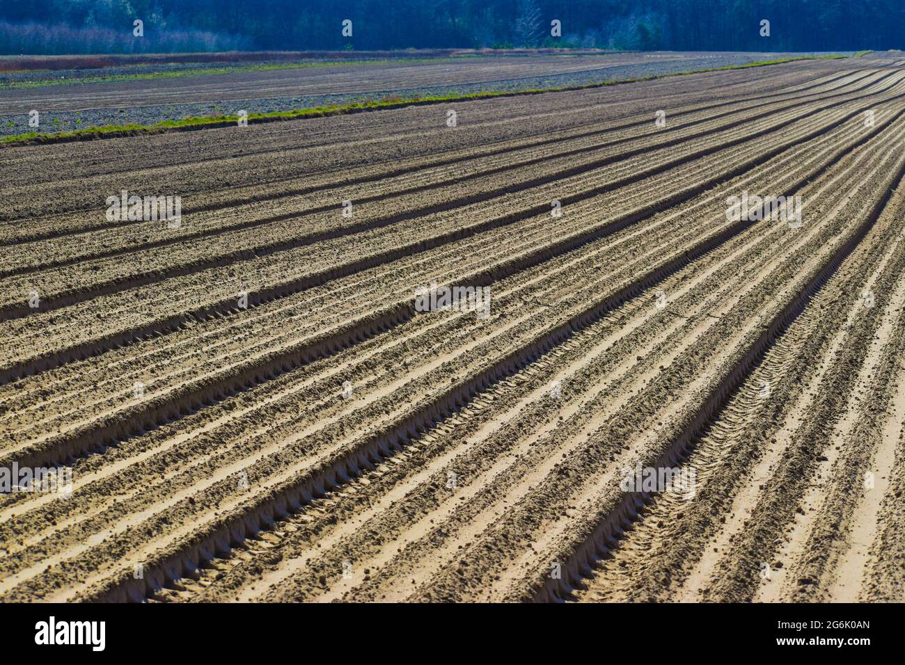 Spring scale hi-res stock photography and images - Alamy