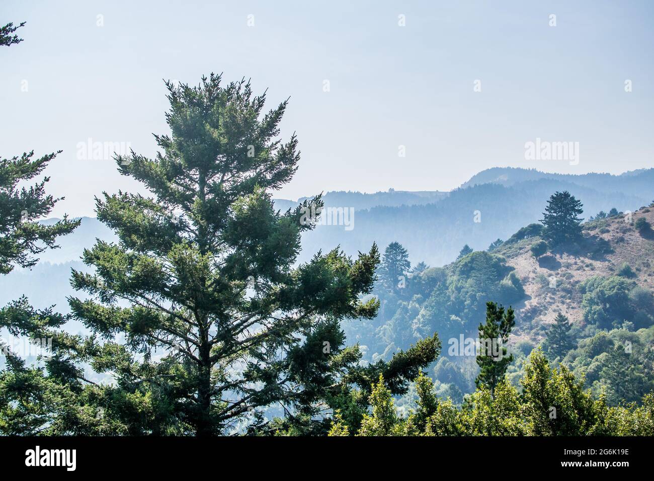 View from Panoramic Highway overlooking Muir Woods and the Marin Hills ...