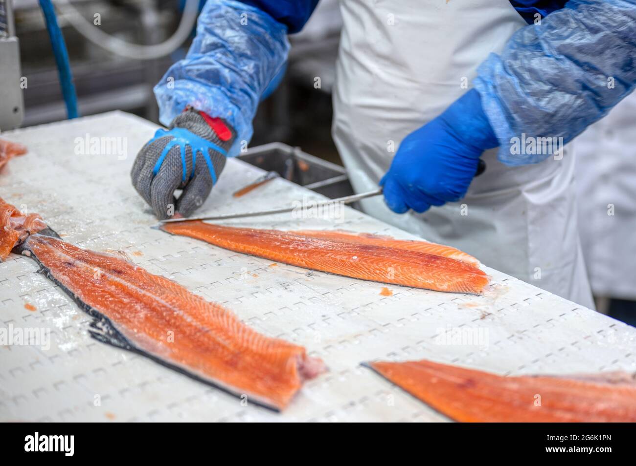 Filleting fish knife hi-res stock photography and images - Alamy