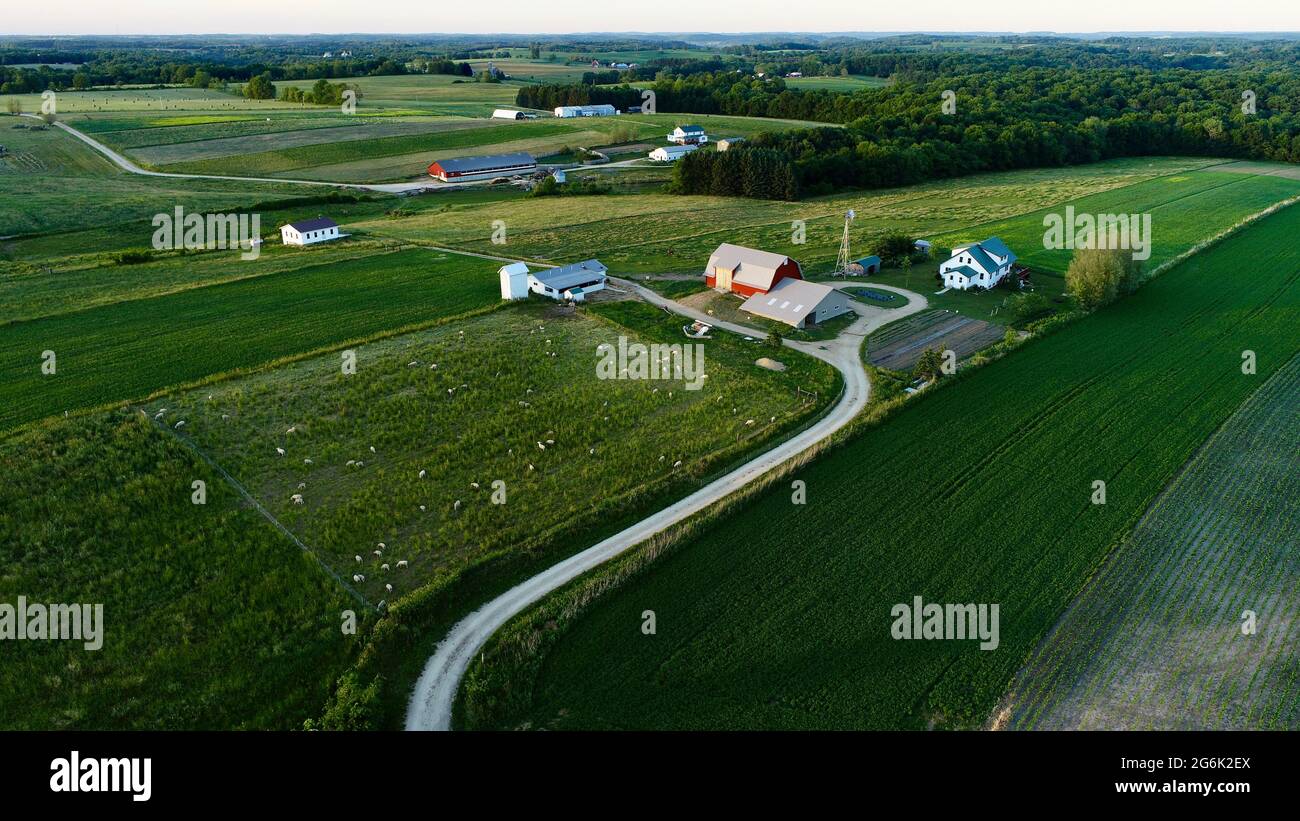 Aerial view of Amish farm and fertile fields of corn, alfalfa hay and ...
