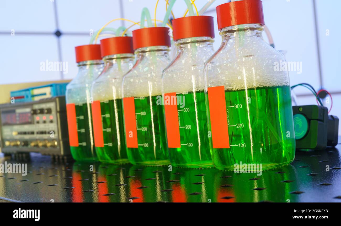 Experiments with obtaining electricity and bacteria processing ...