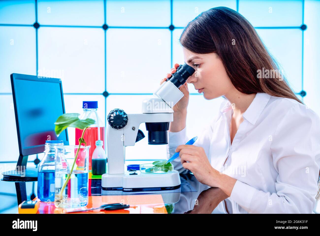 Young woman with microscope in GMO laboratory. Study of green plant of ...