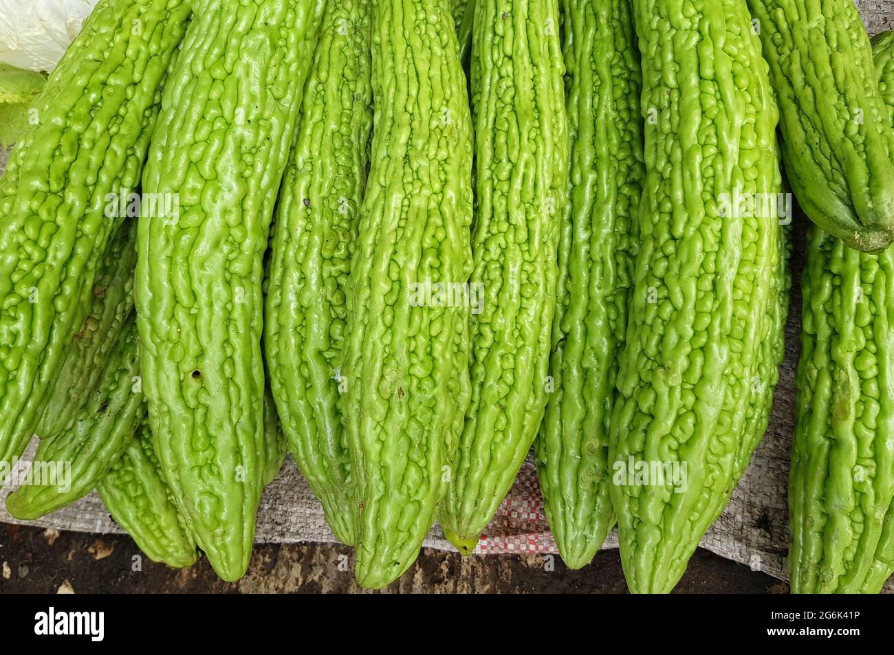 Group bitter gourd hi-res stock photography and images - Alamy