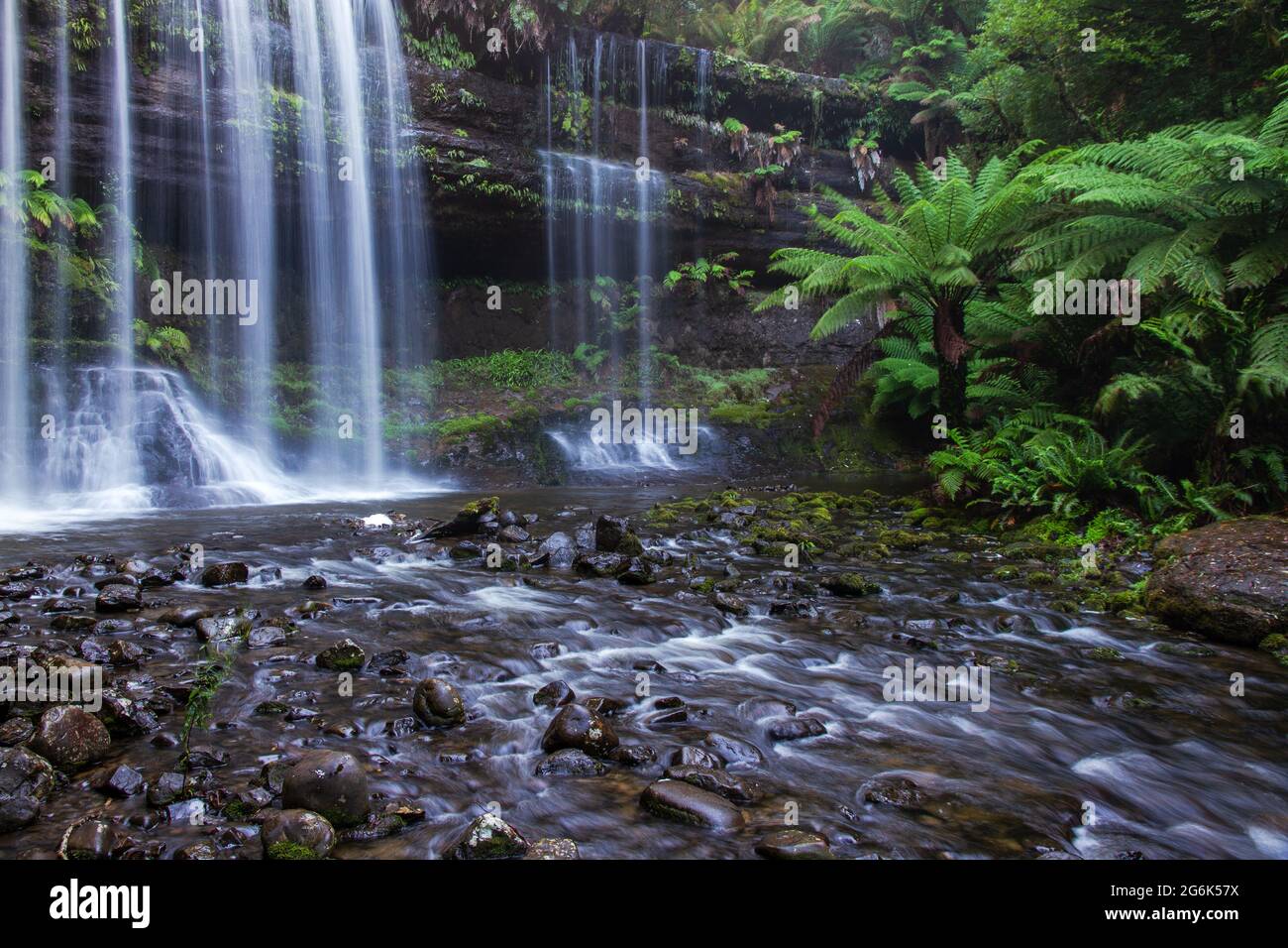 Russell Falls, Tasmania Australia Stock Photo - Alamy