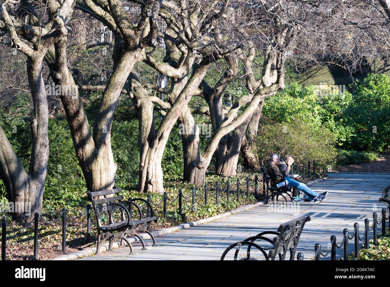 People sitting on steel benches in Central Park in New York City ...