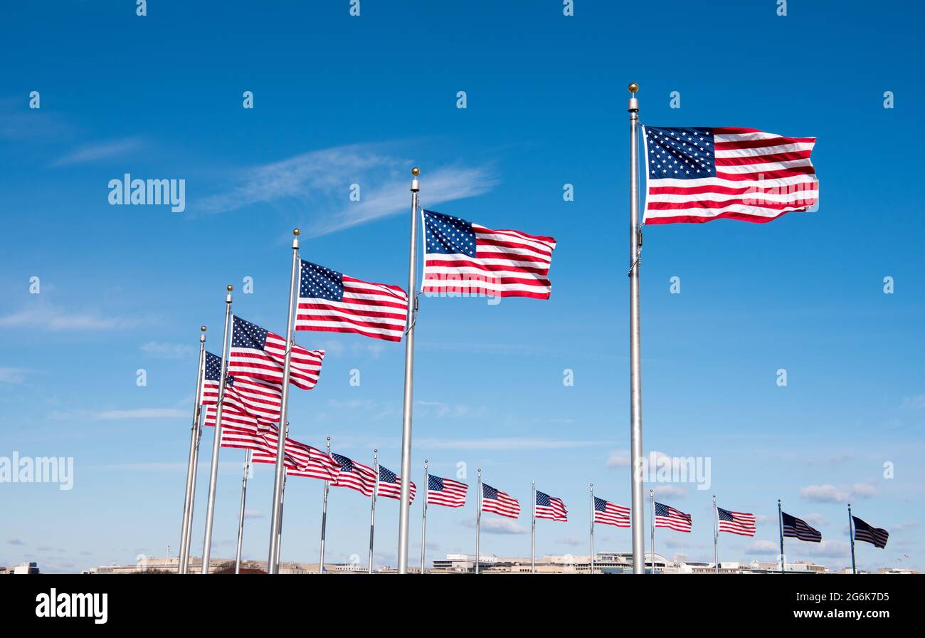American Flags around the Washington Monument in Washington DC Stock ...