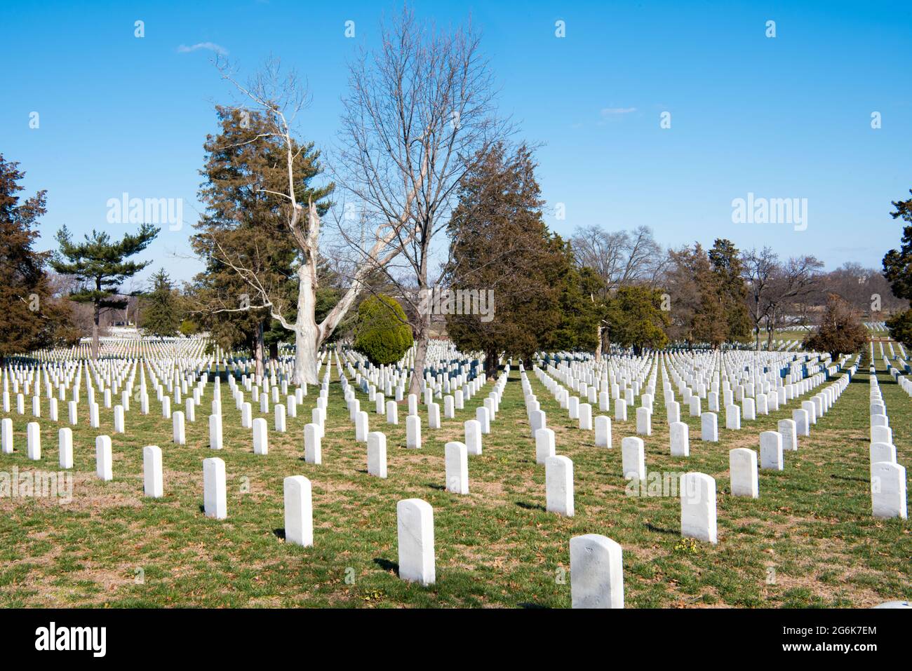Arlington National Cemetery, Washington DC graves Stock Photo - Alamy