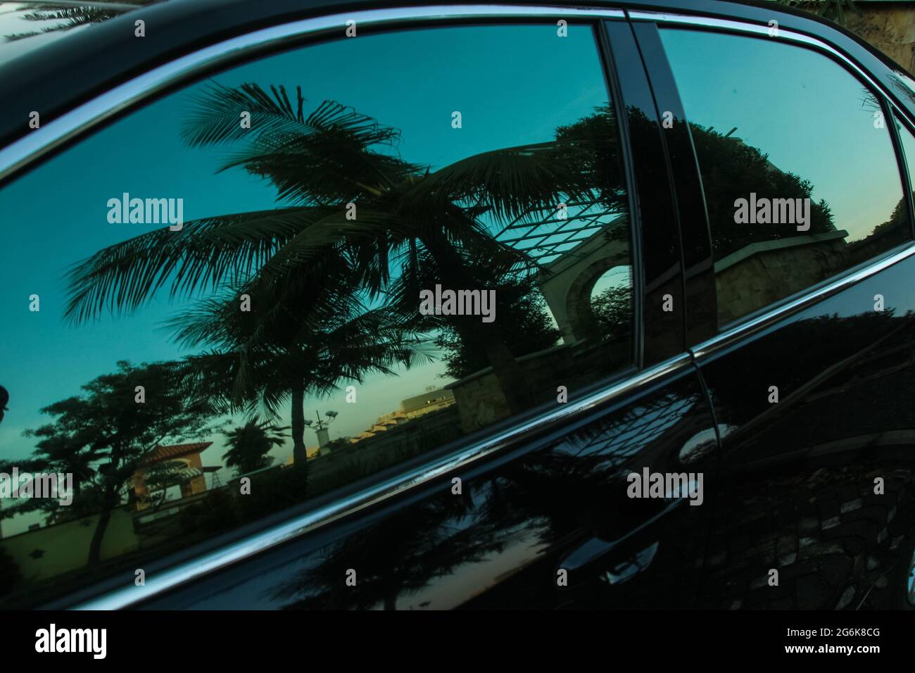 Palm tree reflected on car window Stock Photo - Alamy