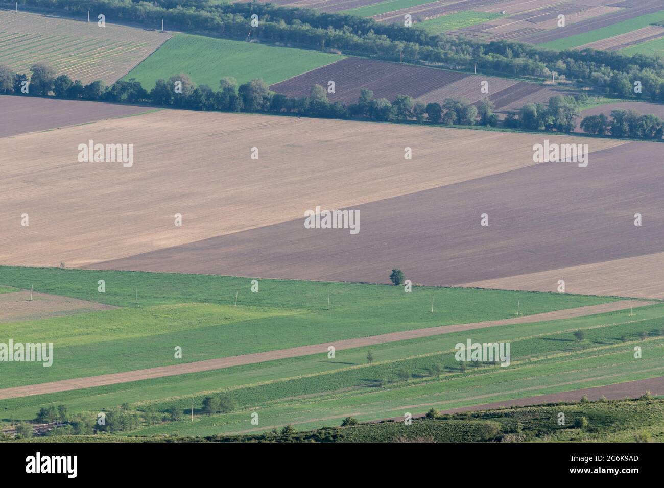 View of the sown fields in the agricultural industry. Forest belts grow ...