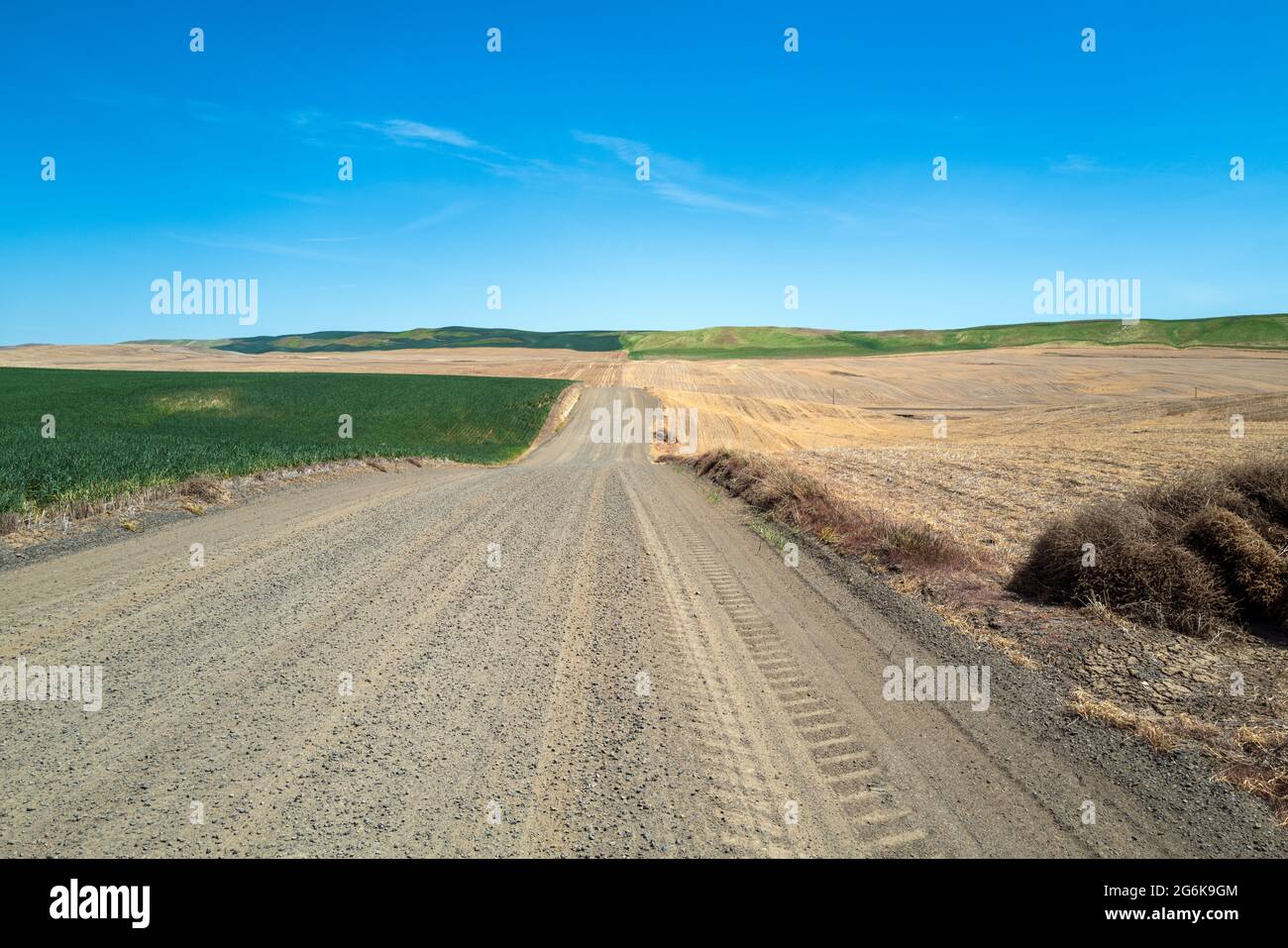A gravel road through hay fields of the Palouse region of southeastern ...