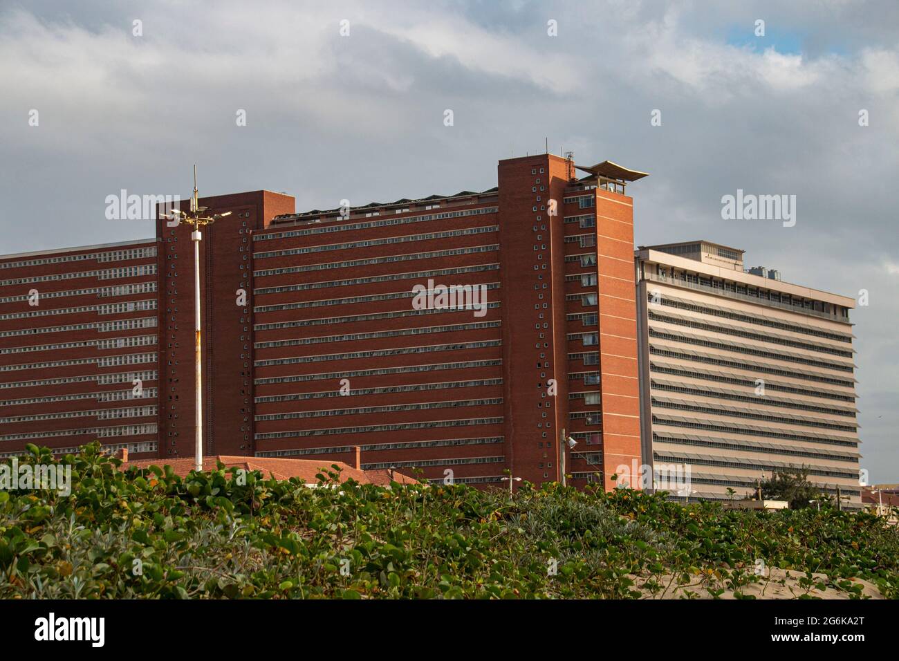 Dune rehabilitation at durban with addington hospital in background ...