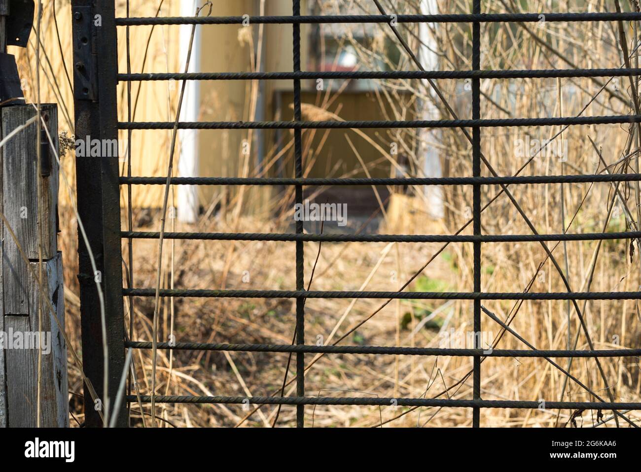 Messy yard hi-res stock photography and images - Alamy