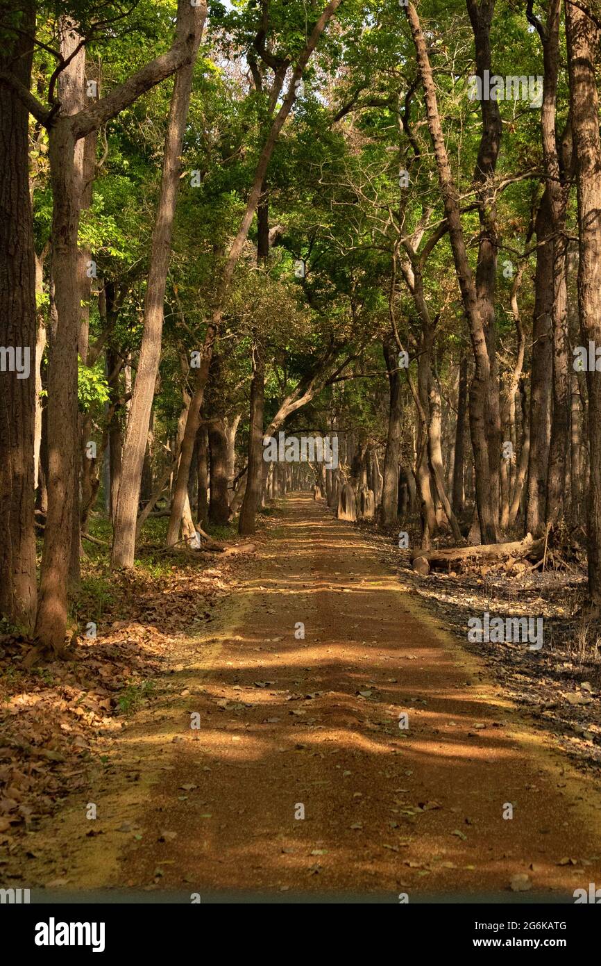 Uttarpradesh landscape hi-res stock photography and images - Alamy