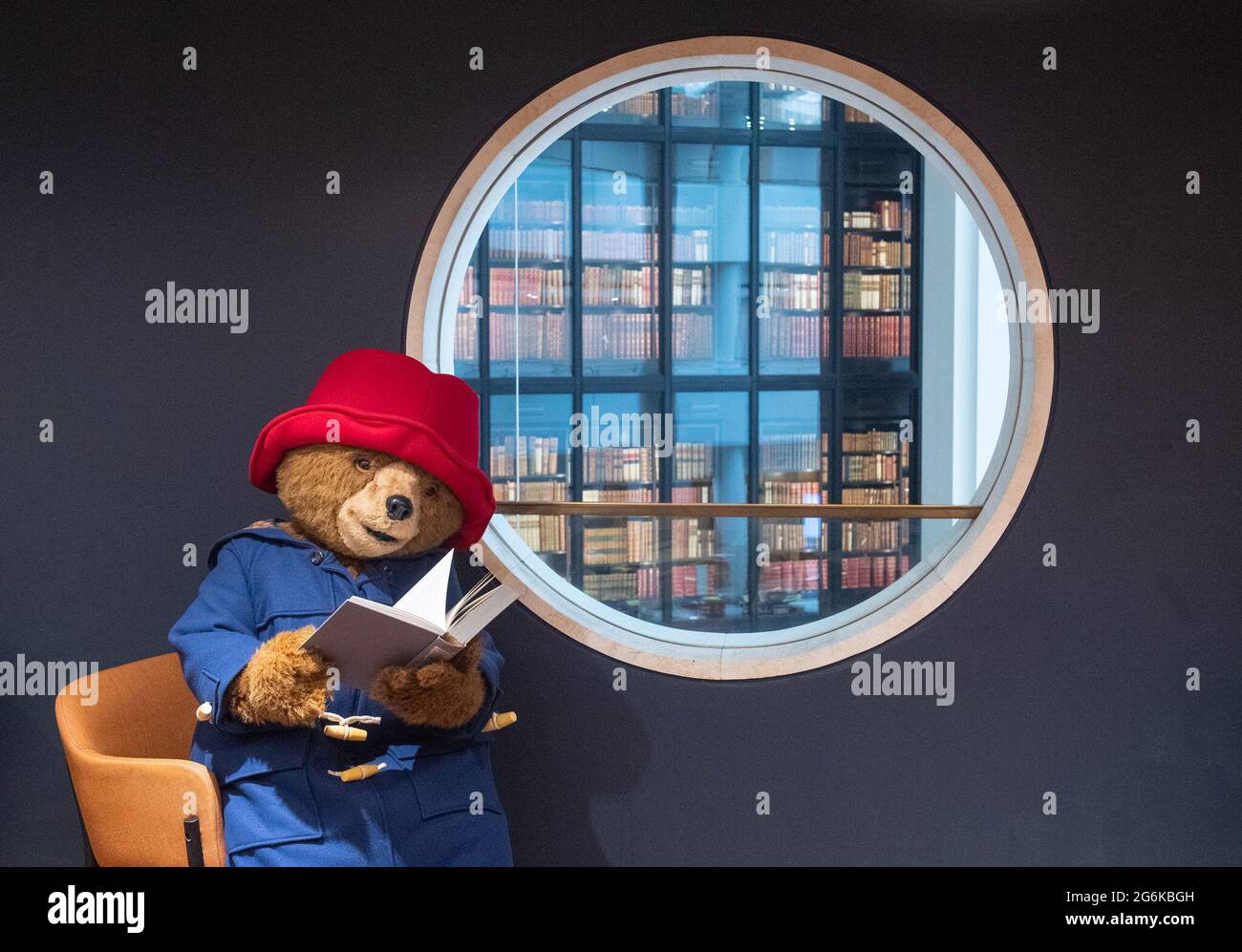 Paddington reads a book in the members room at the British Library ...
