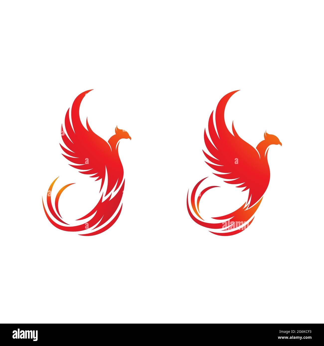 Phoenix vector icon illustration design template Stock Vector Image ...