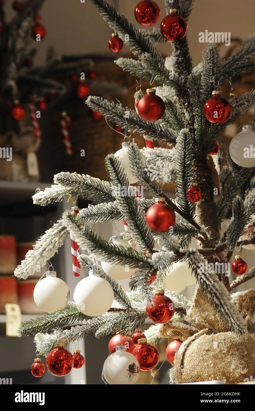 Copenhagen /Denmark/ 21.December 2019/ Christmas tree and christmas ...