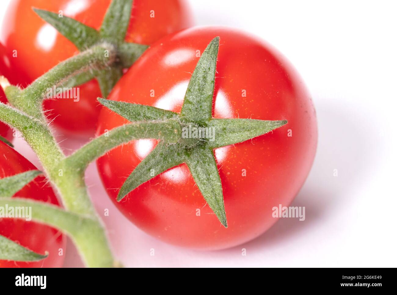 Close up of a cherry tomatoes, isolated on white background Stock Photo ...