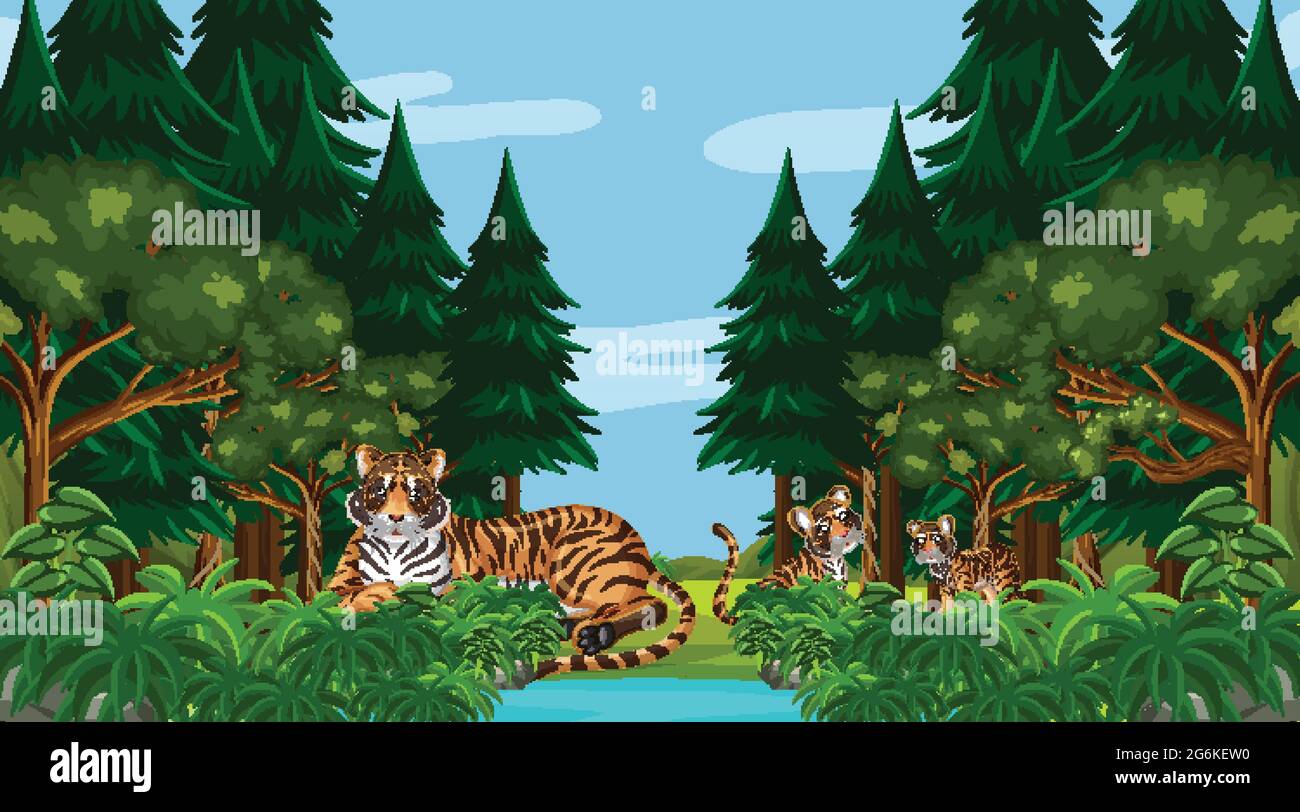 Tiger family in forest or rainforest scene with many trees illustration Stock Vector Image & Art ...