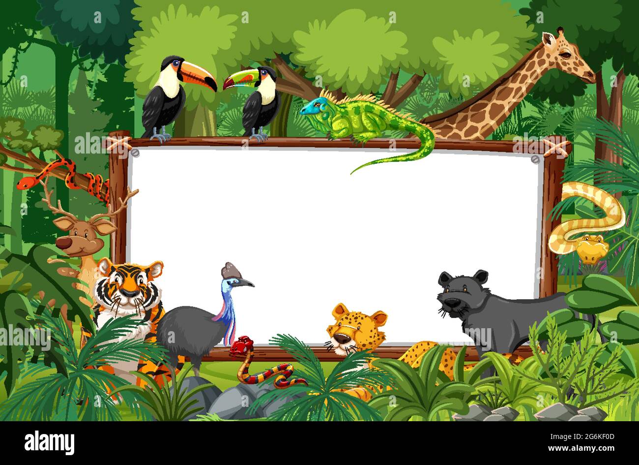 Blank banner in the rainforest scene with wild animals illustration ...