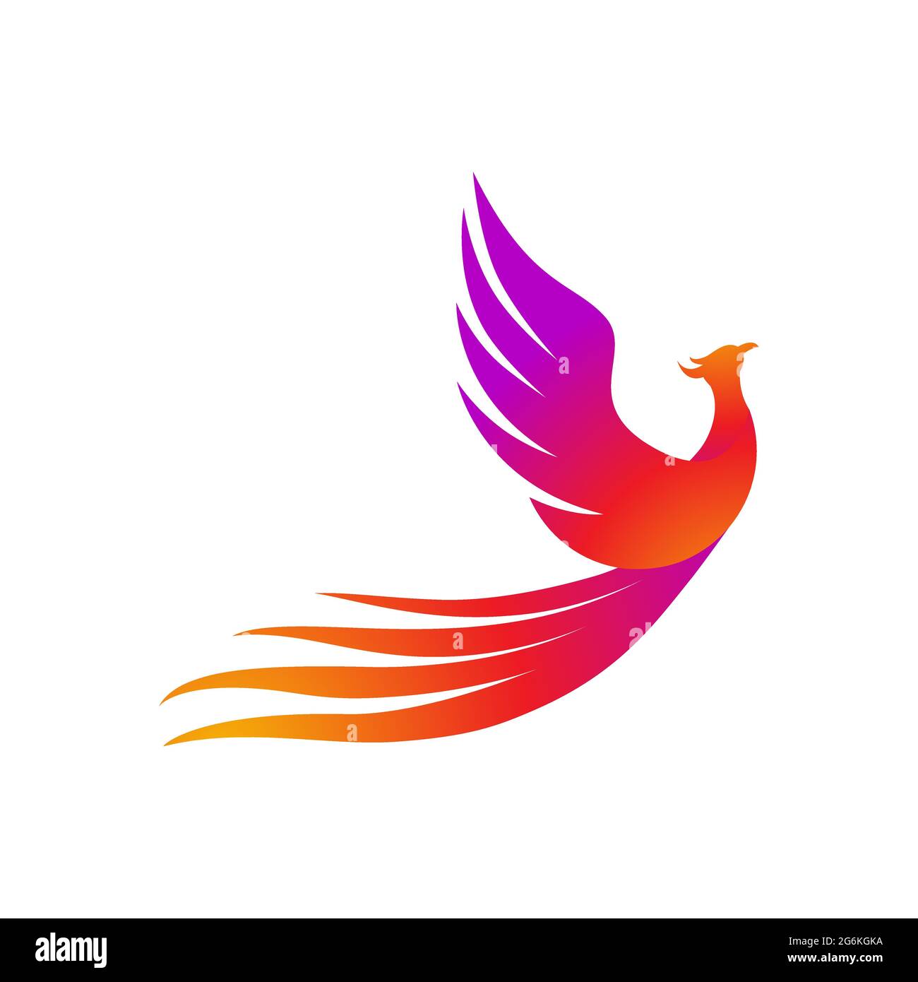 Phoenix vector icon illustration design template Stock Vector Image ...