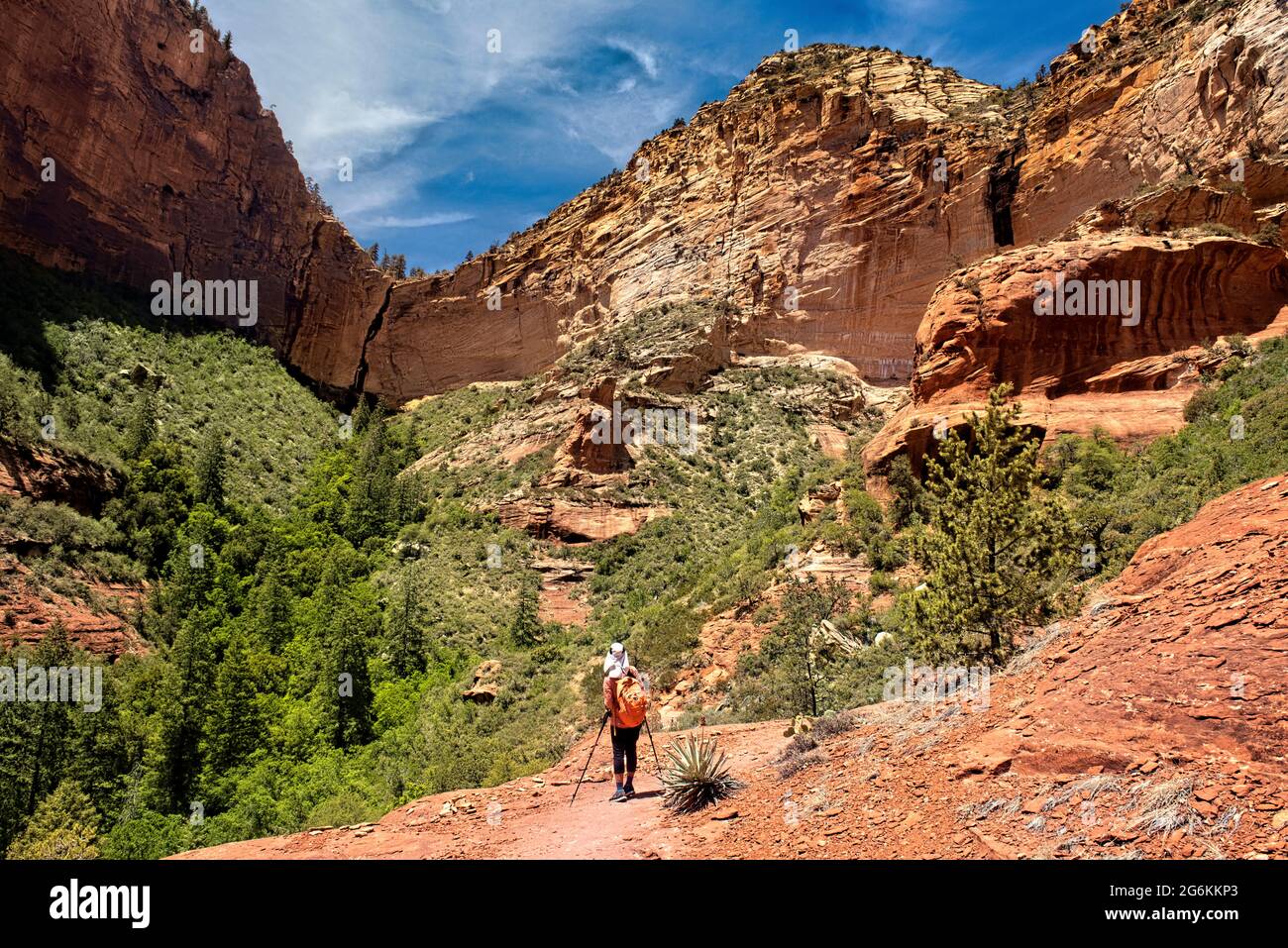 Boynton Canyon High Resolution Stock Photography and Images - Alamy