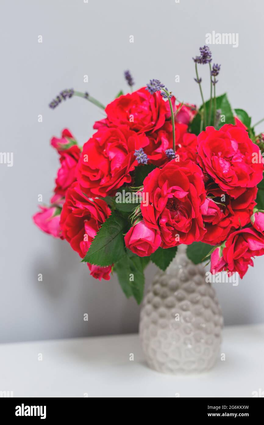 Garden roses in a gray vase in a minimalistic interior. Spring rustic ...