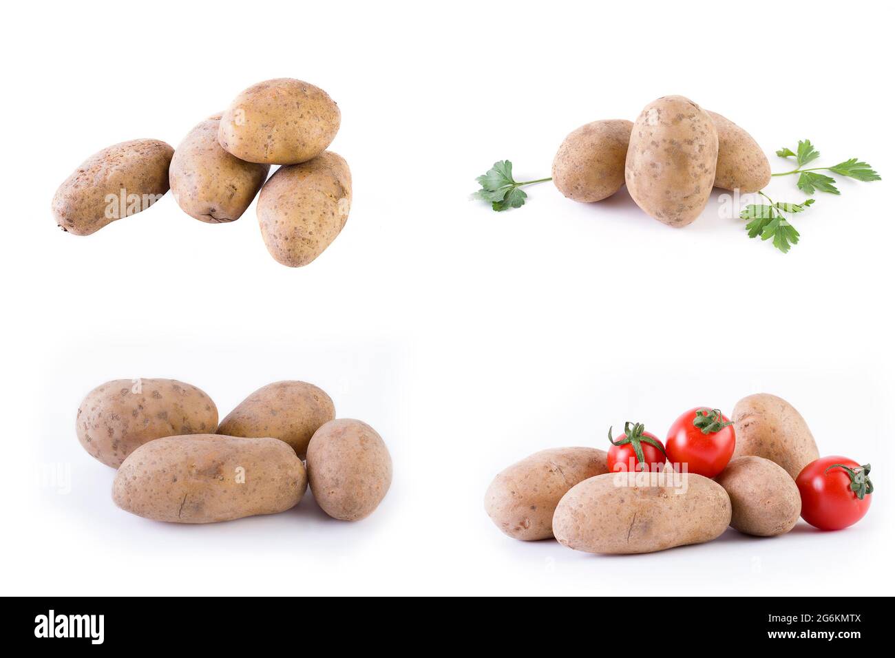 Potatoes on a white background. The vegetable on a white background ...