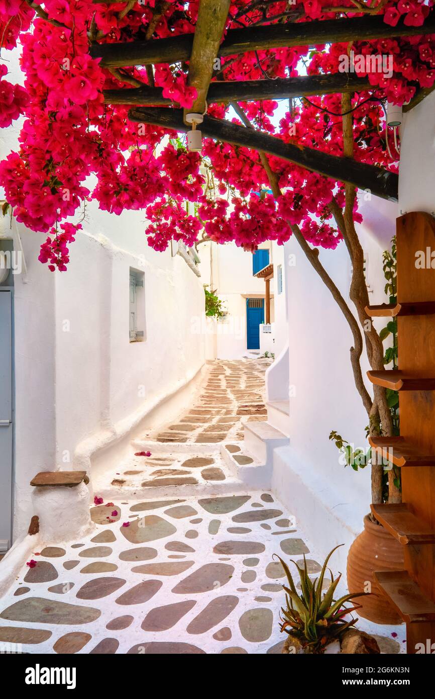 Romantic traditional alleyways of Greek island towns. Whitewashed walls, colorful doors, pink ...