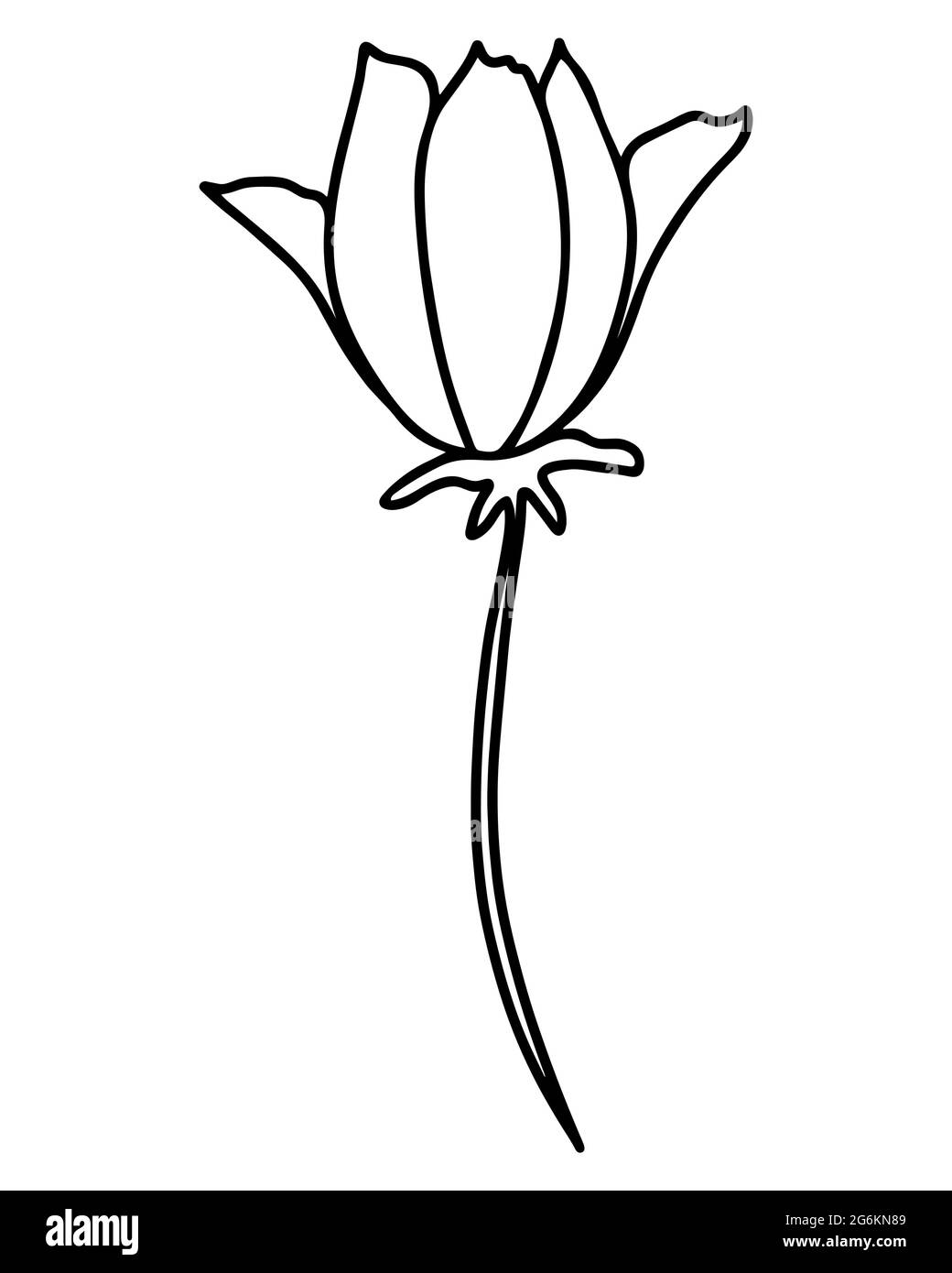 Single Flower Drawing