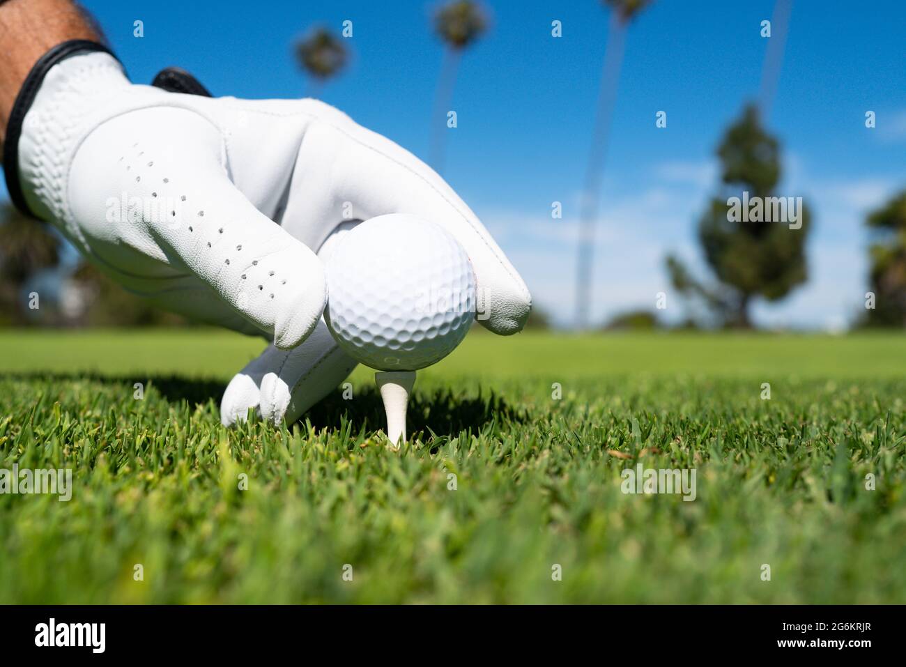Close up golf ball on green grass field. Golf club Stock Photo - Alamy