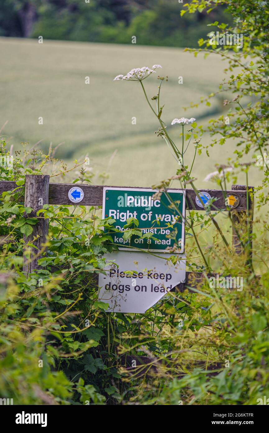 Overgrown footpath hampshire hi-res stock photography and images - Alamy
