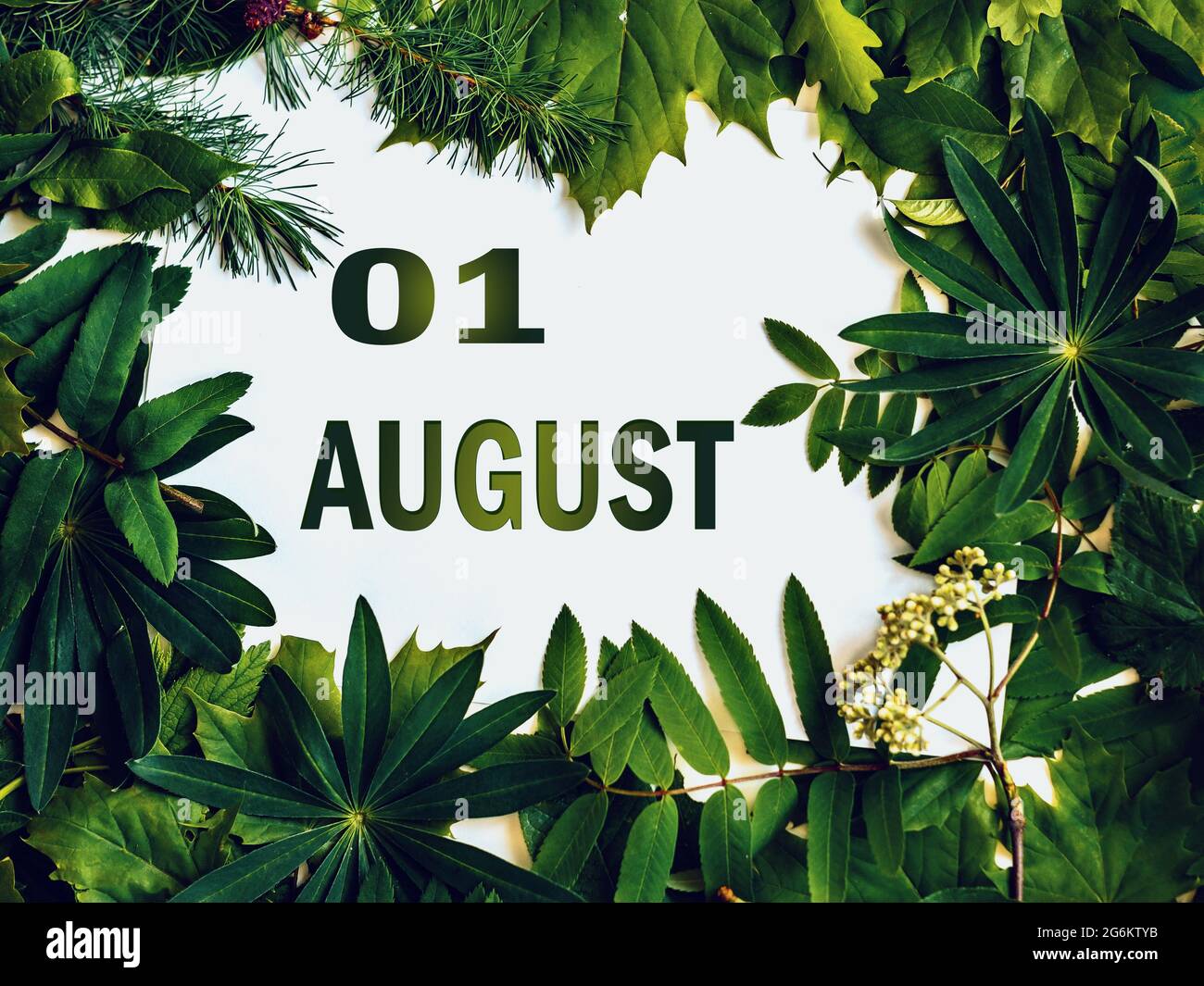 August 1, 1st day of month. Composition of natural green leaves with ...