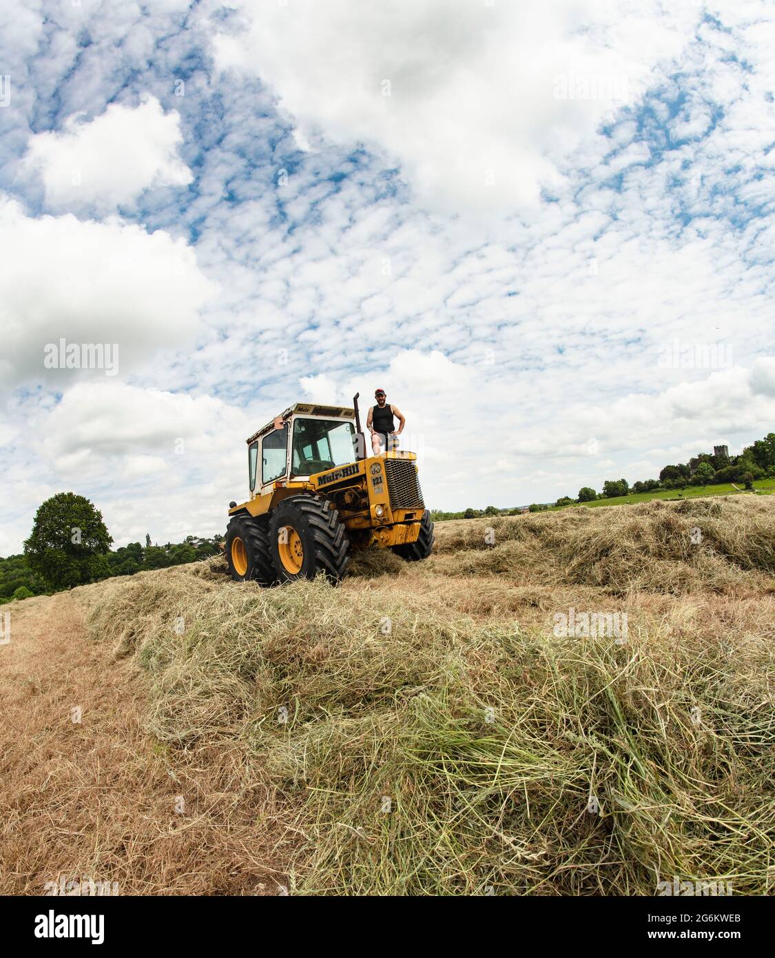 Super dramatic agricultural landscape with tractor, Rapeseed (Brassica ...