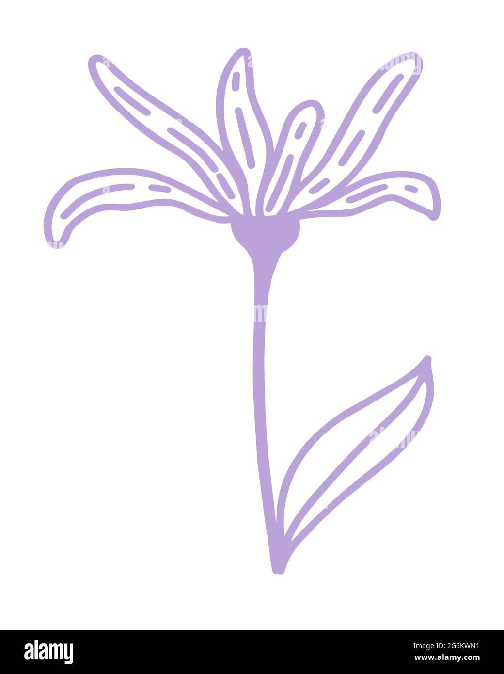 Elongated leaf design Cut Out Stock Images & Pictures - Alamy