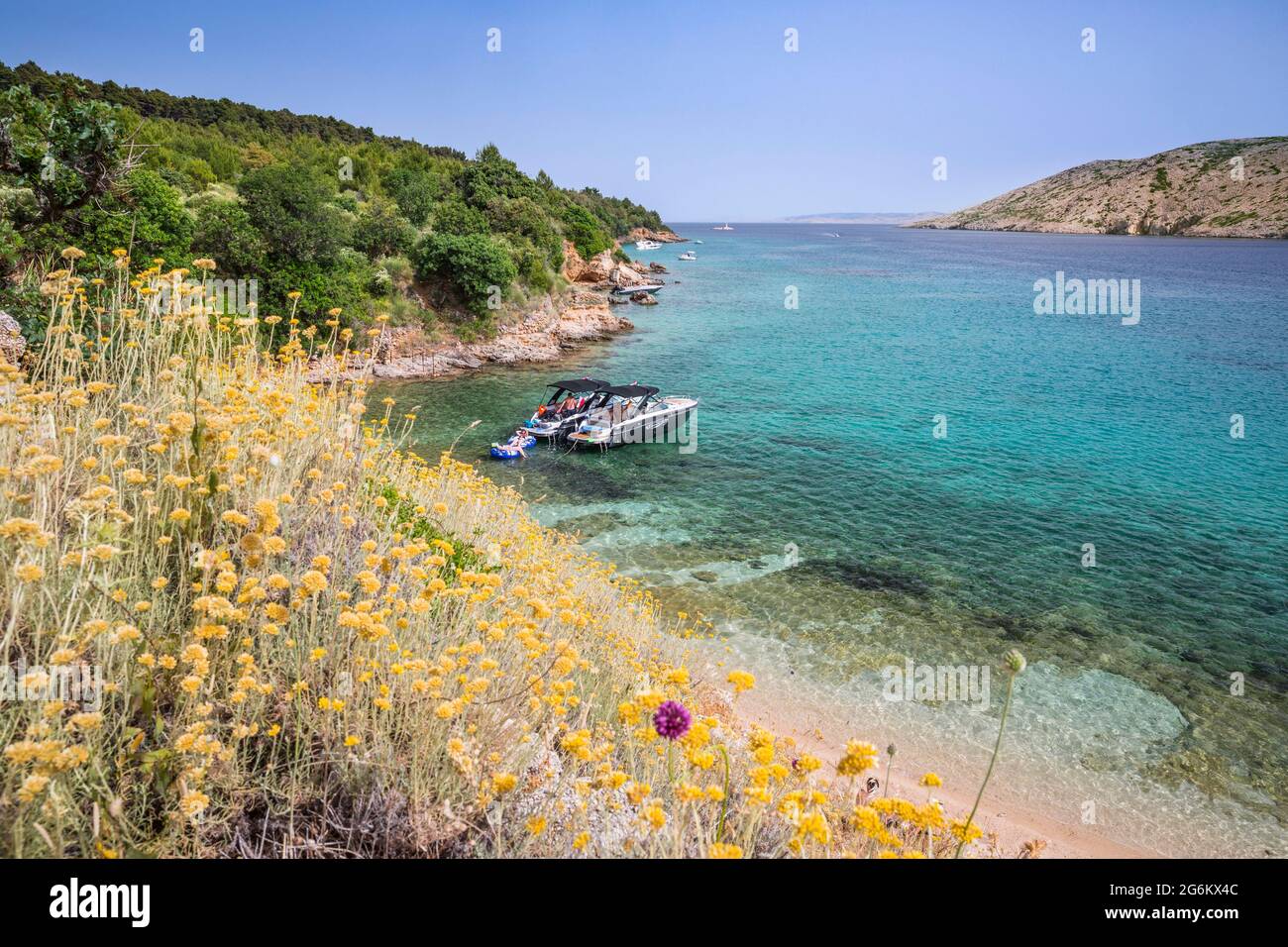 Beach with flowers in island Rab Stock Photo - Alamy