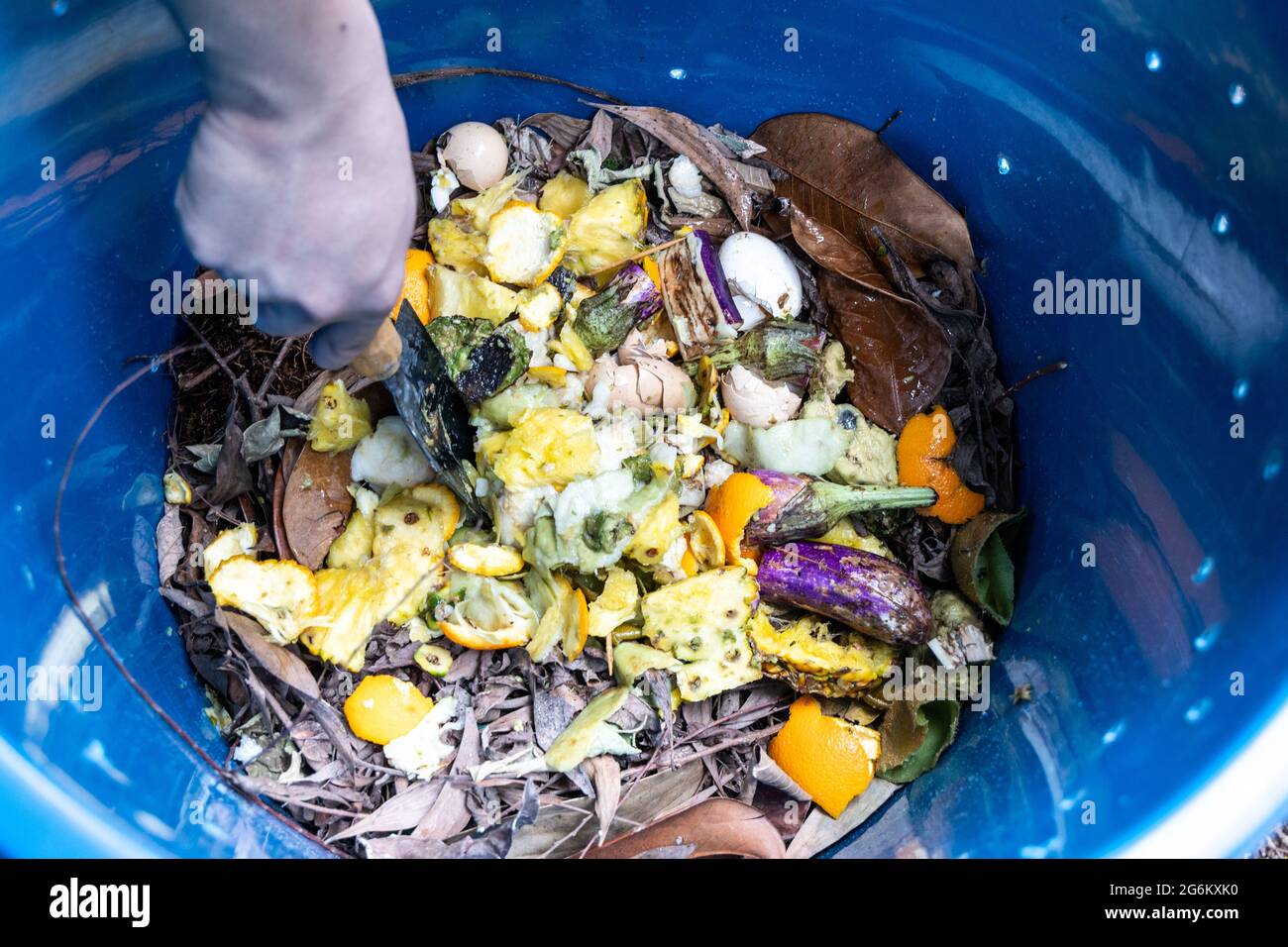 Hand mixing the green and brown materials in the compost bin Stock ...