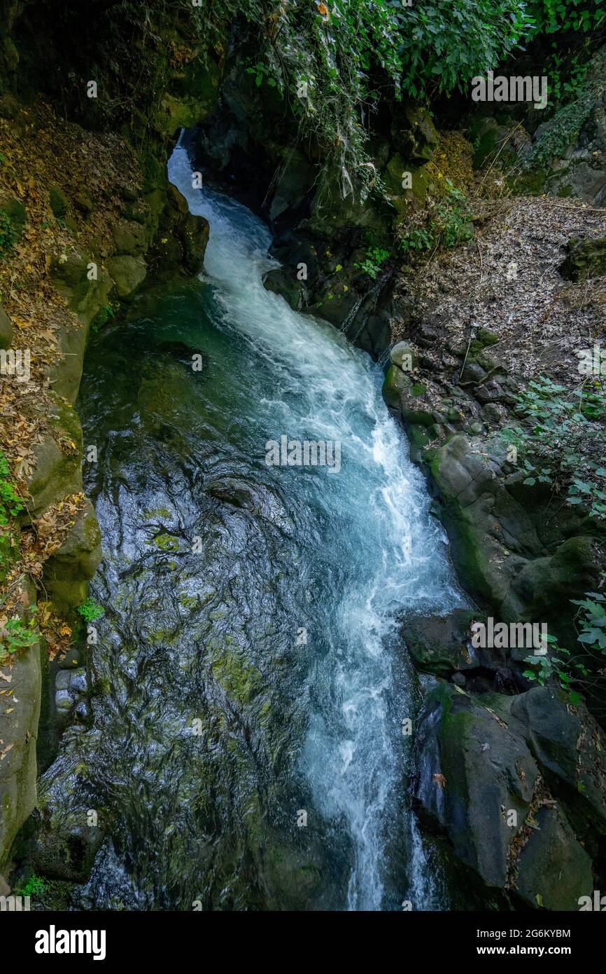 Sources Of The Jordan River High Resolution Stock Photography and ...