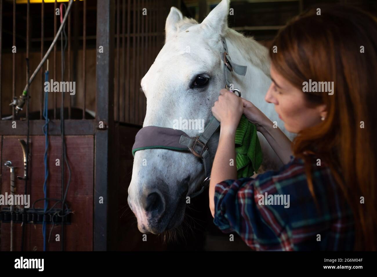 Woman riding horse stable hi-res stock photography and images - Alamy