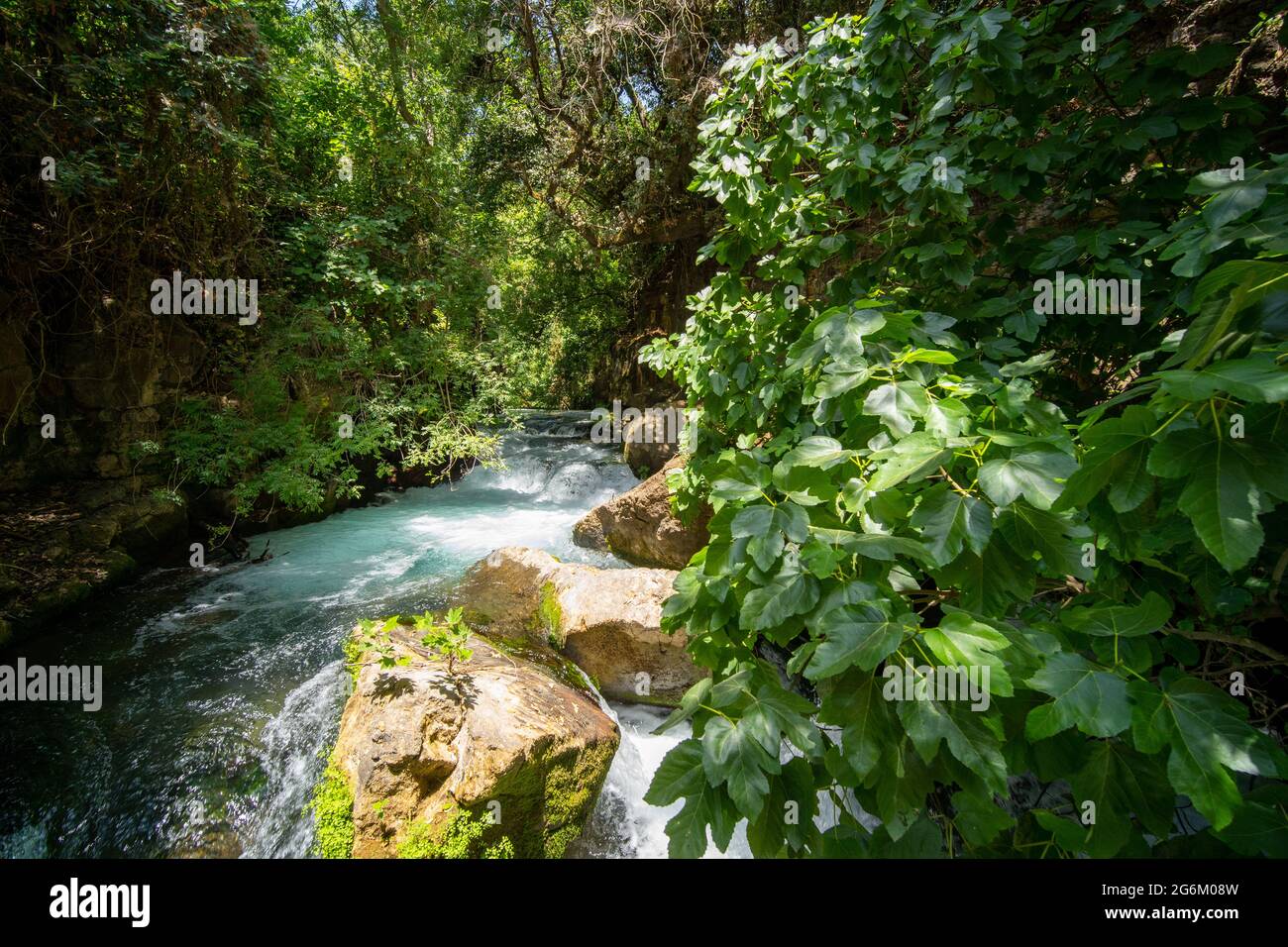 Banias Spring and Stream (Banias River or Hermon River) Golan Heights ...